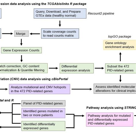 Workflow Illustrating Steps Used In This Study To Identify The Altered Download Scientific