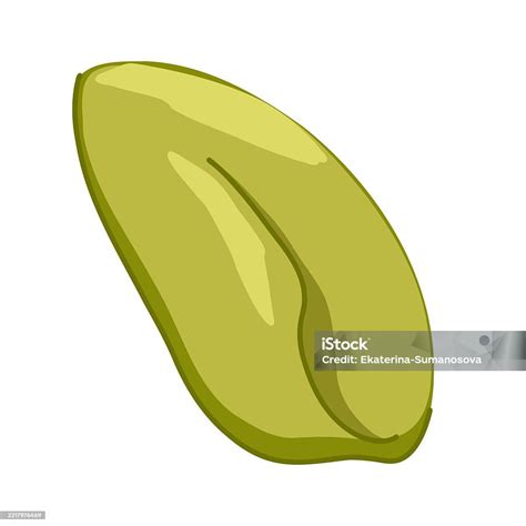 부드러운 질감과 자연스러운 모양의 피스타치오 너트 식용 씨앗의 손으로 그린 벡터 그림입니다 스낵 브랜딩 제품 디자인 메뉴 비주얼 스티커 포장용 건강한 식생활에 대한 스톡