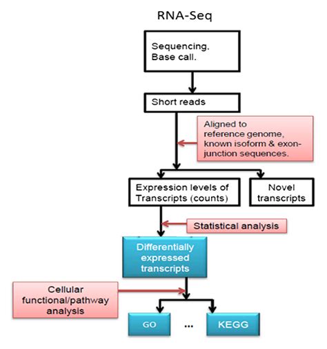 Metatranscriptomics Sequencing Service Mtoz Biolabs