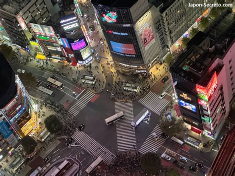 Cruce De Shibuya En Tokio El Más Transitado Del Mundo ⛩️