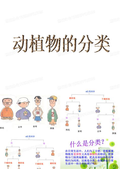 动植物的分类PPT模板下载 编号lyxdmjwx 熊猫办公