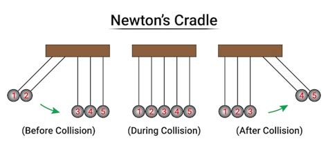 premium vector newton s cradle experiment part2