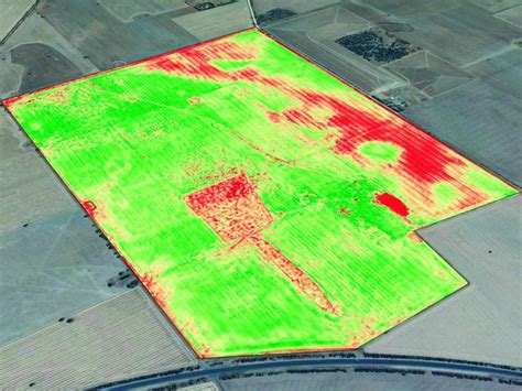 El Ndvi Aliado Clave En El Monitoreo Y La Gestión De La Vegetación