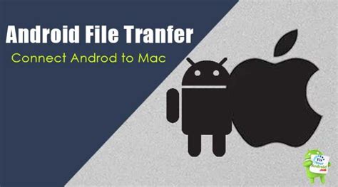 Android File Transfer Connect Android To MAC Is It Safe