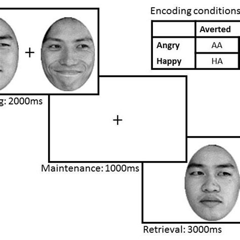 Example Trial Procedure Of Wm Task Faces At Encoding Were Shown With Download Scientific