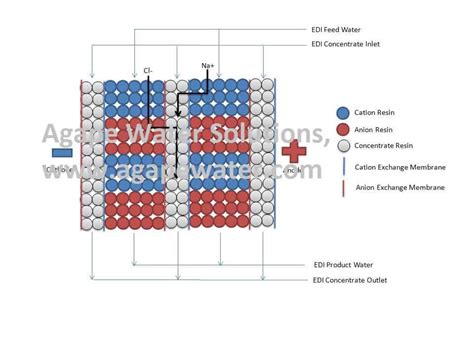 A Guide To Help You Understand Electrodeionization Technology