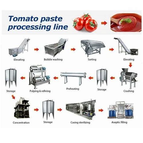 Automatic Tomato Processing Plants At Rs 800000 Piece In New Delhi Id 2855078193991