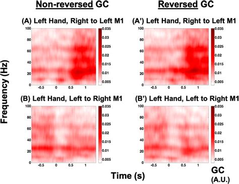 Non Baselined And Time Reversed Frequency Domain Granger Causality