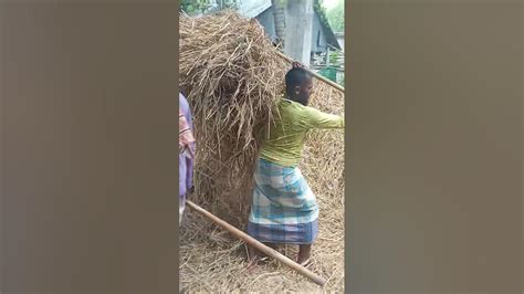 খেরের পালা Youtube