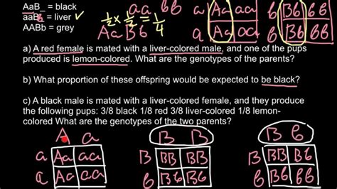Nikolays Genetics Lessons On Linkedin Advanced Genetics Probability
