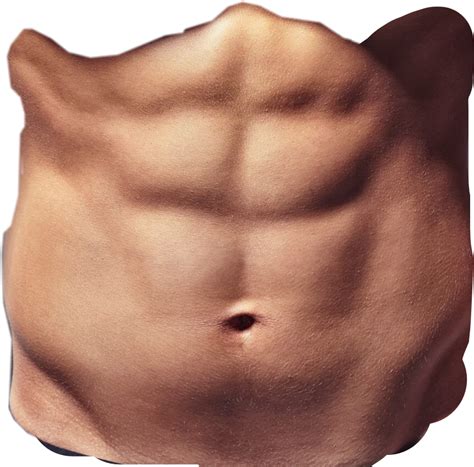 Abs Workout Abs Fitness Abs Exercises Abs Training Abs Routine Png