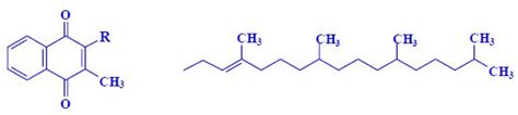 Vitaminy 1 Lf Uk Nt Wikiskripta