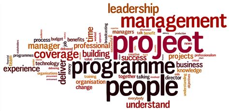 Delivering Successful Projects Deliver Projects Dont Just Manage Them