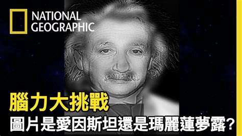 眼見不一定為憑 圖片上的愛因斯坦瞇起眼睛看 會像是 腦力大挑戰 YouTube