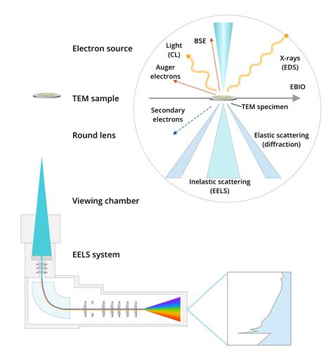 Electron Energy Loss Spectroscopy