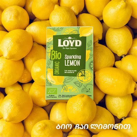 Nikora Supermarket • ნიკორა სუპერმარკეტი