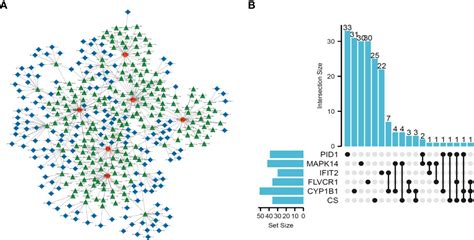 Frontiers Identification And Validation Of A Novel Mitochondrion Related Gene Signature For