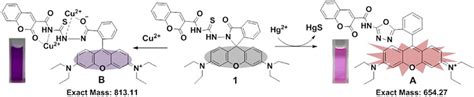 Fret‐based Fluorescent And Colorimetric Probe For Selective Detection Of Hg Ii And Cu Ii With