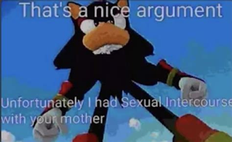 Pin By Glitch On Sonic Sonic Funny Sonic And Shadow Sonic