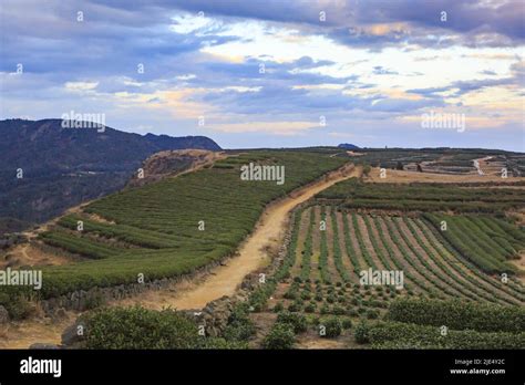 Lan Tian Shan Hi Res Stock Photography And Images Alamy