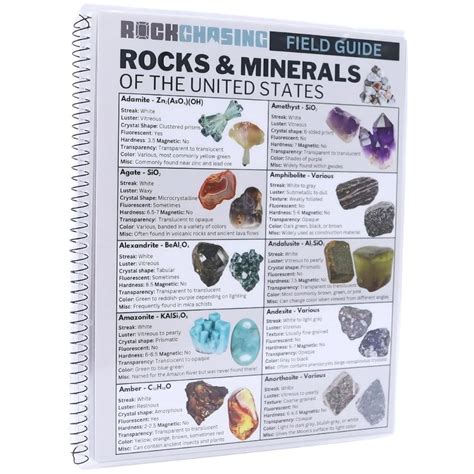 How To Tell If A Rock Has Fossil Inside