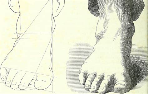 Mastering Scale And Proportion Blick Art Materials