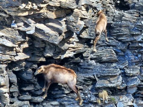 ფშავ ხევსურეთის ეროვნული პარკი Pshav Khevsureti National Park Added A ფშავ ხევსურეთის