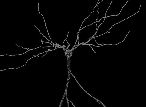 Blank5 3d Model Cgtrader