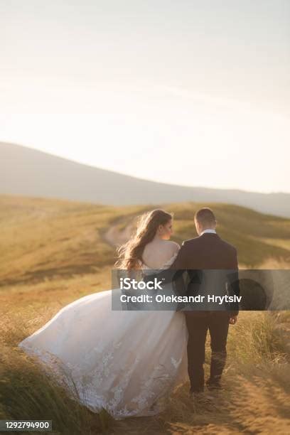 아름다운 여름 날 일몰에 산에서 낭만적 인 순간을 즐기는 매력적인 신부와 세련된 신랑의 백 보기 필드에서 웨딩 커플 2명에 대한 스톡 사진 및 기타 이미지 Istock