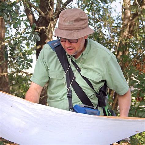 Bug Swarm 015 Bugguide