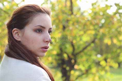 秋天在城市街道和公园的风景中长得英俊高清图片下载 正版图片507332863 摄图网