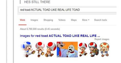 Red Toad Actual Toad Like Real Life Imgur