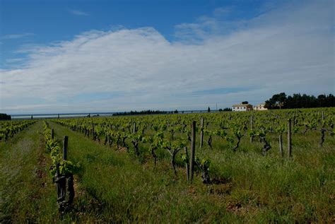 Domaine De Calet - Popular Wine Tasting and Tour in Rhone Valley ...
