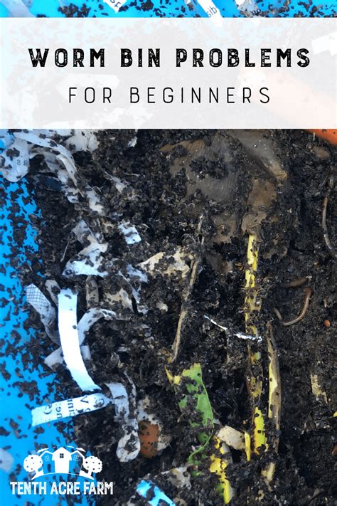 Worm Bin Problems For Beginners Worm Bin Worm Farm Diy Composting Food
