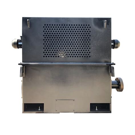 Wholesale Three Phase Induction High Voltage Motor 10000w Motor