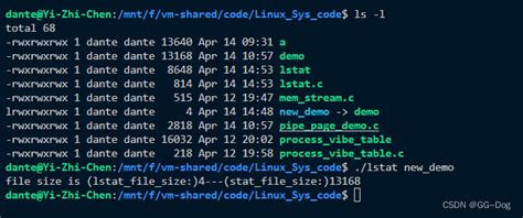 函数 Stat、fstat、fstatat和lstatfstatat函数 Csdn博客
