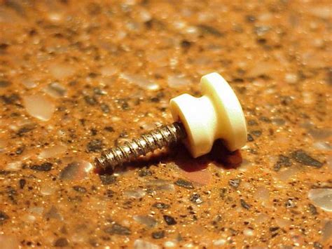 Bone Guitar Strap Button No Inlay