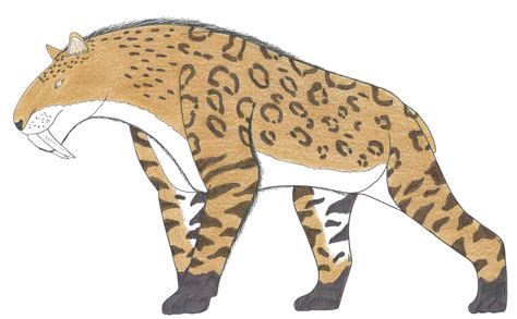 Smilodon By Suchomimus62 On Deviantart