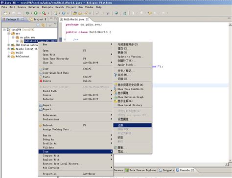 Svn Eclipse插件使用指南eclipse文件右下方问号怎么变成黄色小瓶子 Csdn博客