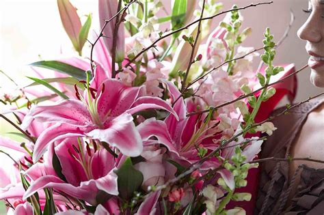 De Smart Lily Gedraagt Zich Als Een Ijsbloem Groenvandaag