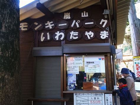 아라시야마 몽키파크 嵐山モンキーパーク Kyoto Guide 교토 현지 여행지 안내