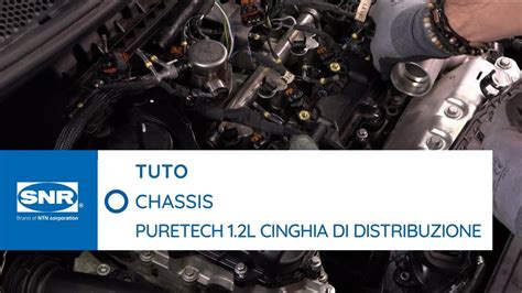 Tutorial Sostituzione Della Cinghia Di Distribuzione Del Motore