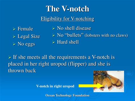 Ppt Learning About Lobsters Powerpoint Presentation Free Download