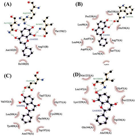 Two Dimensional 2d Representation Of Protein Ligand Molecular Docking Download Scientific