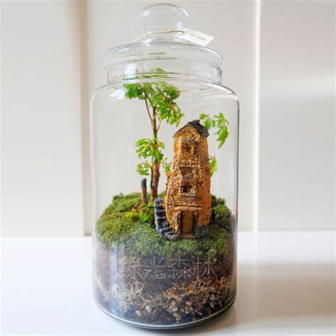 Madi Ruve Sex Tape Fishtank