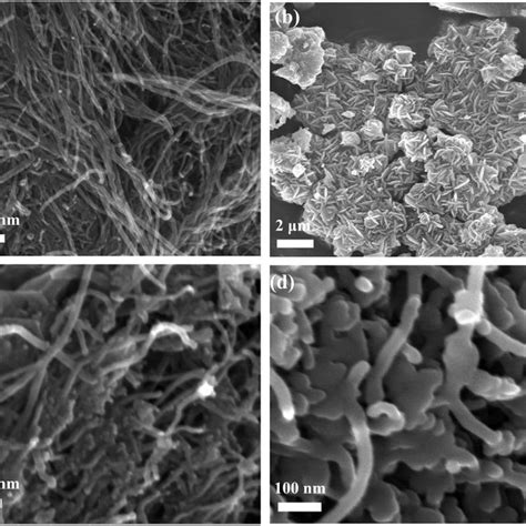 A Xrd Patterns Of Mwcnts Tio 2 And 50 Mwcnts Tio 2 B Xrd Download Scientific Diagram
