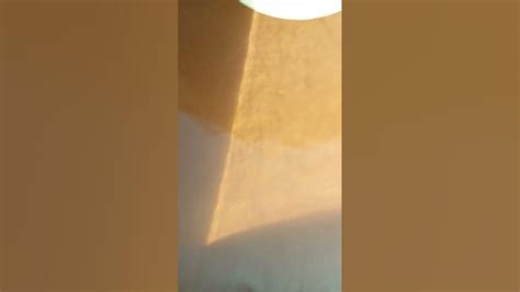 올라가지마시오 출처동심친구들 Youtube