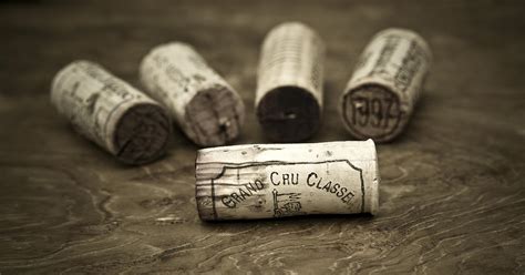 Grand Cru Classe Photograph By Frank Tschakert Fine Art America