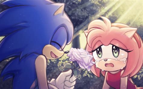 Amy Rose Crying Sonic X