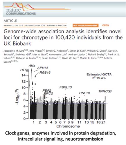 Lecture 16 Workshop Ii Flashcards Quizlet